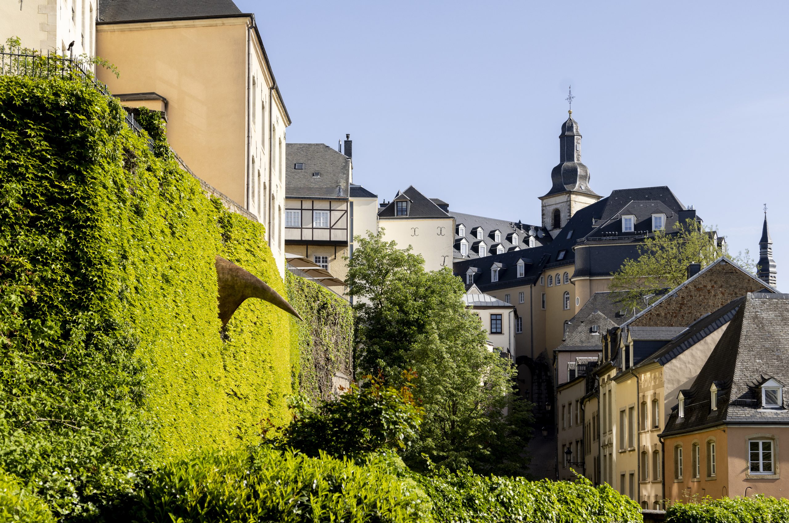Sur les épines 2025 PaMu | Lëtzebuerg City Museum